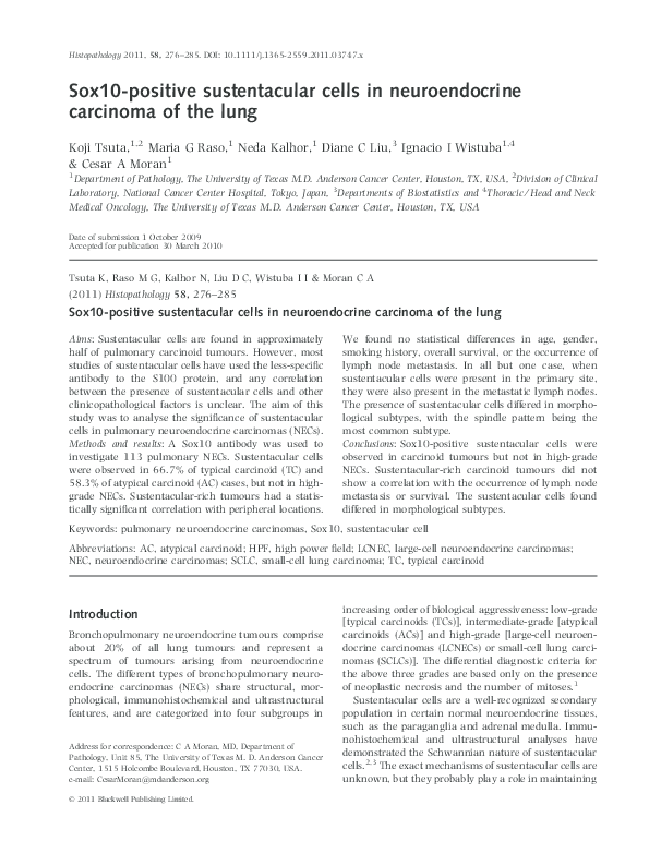 (PDF) Sox10-positive sustentacular cells in neuroendocrine carcinoma of ...