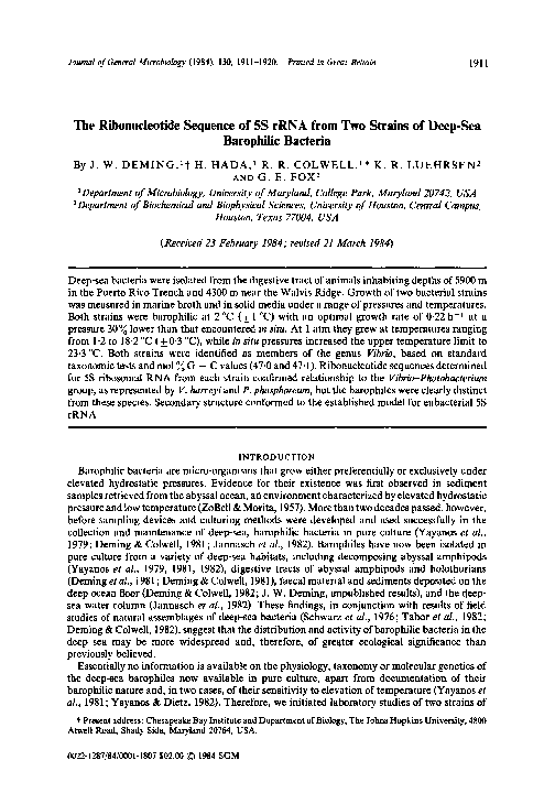 (PDF) The Ribonucleotide Sequence of 5S rRNA from Two Strains of Deep ...