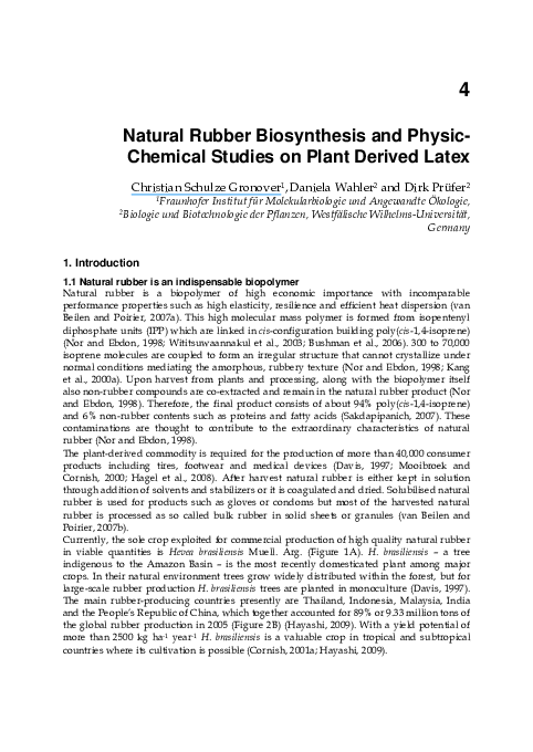 (PDF) Natural Rubber Biosynthesis and Physic-Chemical Studies on Plant ...