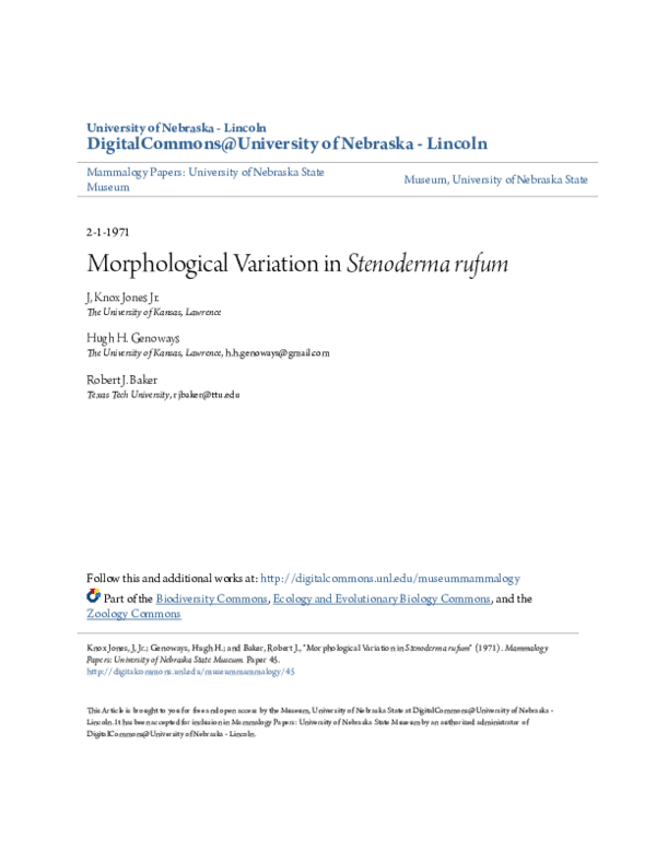 (PDF) Morphological Variation in Stenoderma rufum
