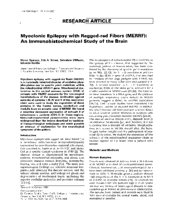 (PDF) Myoclonic Epilepsy with Ragged-red Fibers (MERRF): An ...