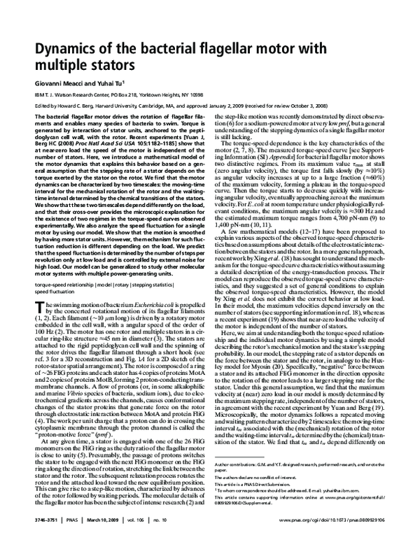 (PDF) Dynamics of the bacterial flagellar motor with multiple stators ...