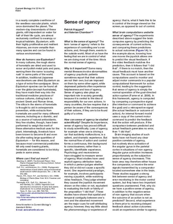 (PDF) Sense of agency