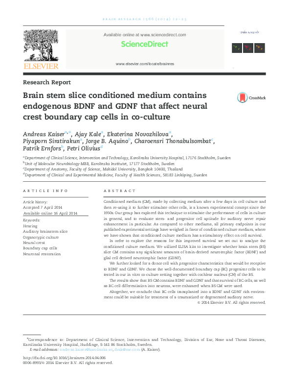 (PDF) Brain stem slice conditioned medium contains endogenous BDNF and ...