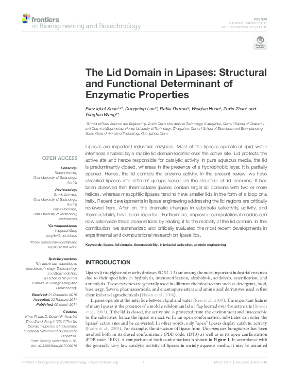 (PDF) The Lid Domain in Lipases: Structural and Functional Determinant ...