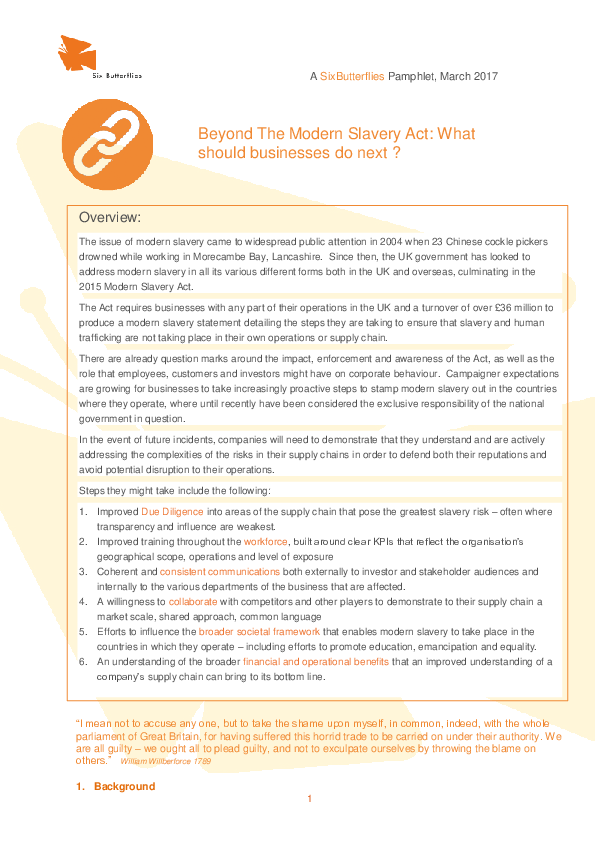 (PDF) SDS 6 Modern Slavery Pamphlet
