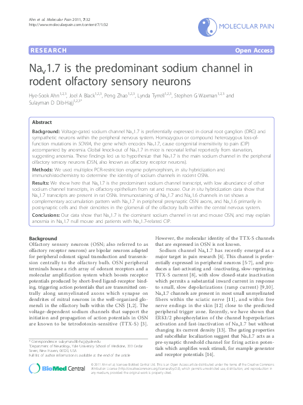 (PDF) Nav1.7 is the predominant sodium channel in rodent olfactory ...