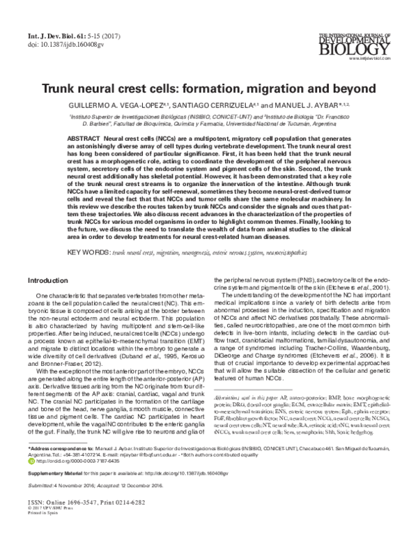(PDF) Trunk neural crest cells: formation, migration and beyond
