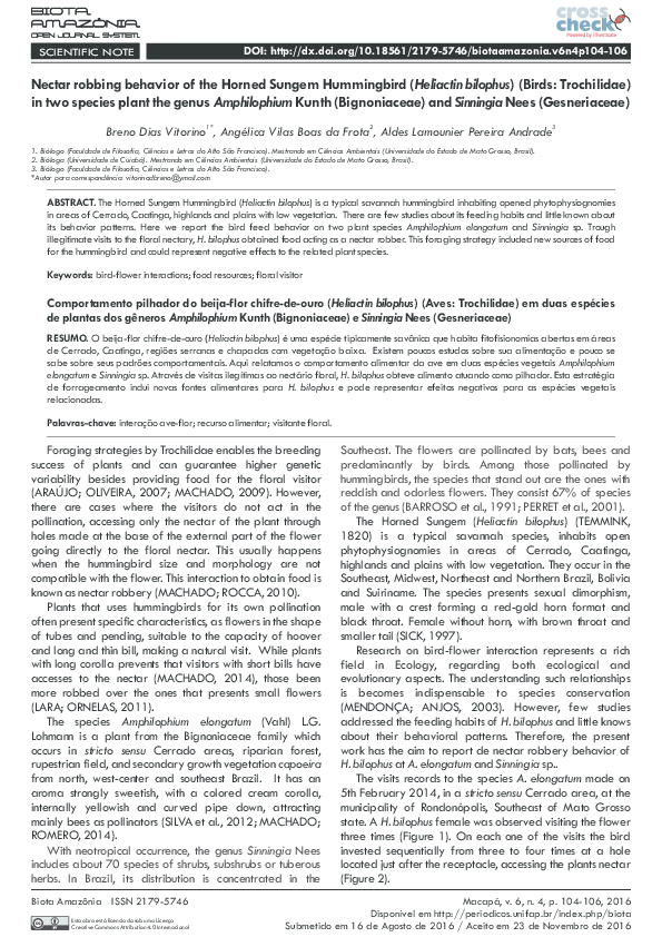 (PDF) Nectar robbing behavior of the Horned Sungem Hummingbird ...
