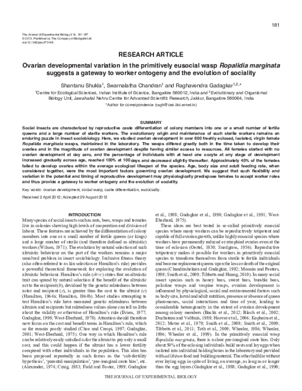 (PDF) Serial polygyny in the primitively eusocial wasp Ropalidia ...