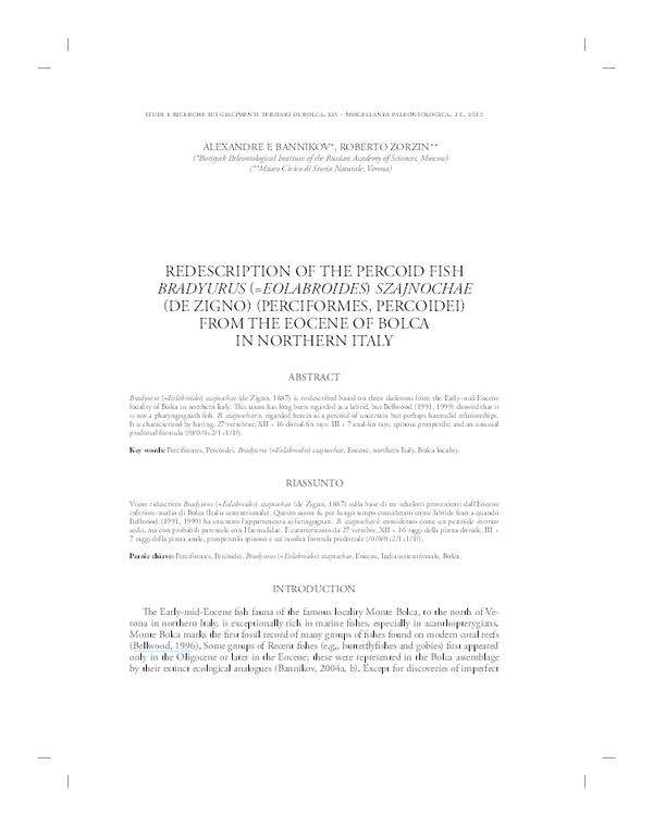 (PDF) Redescription of the percoid fish Bradyurus (=Eolabroides ...