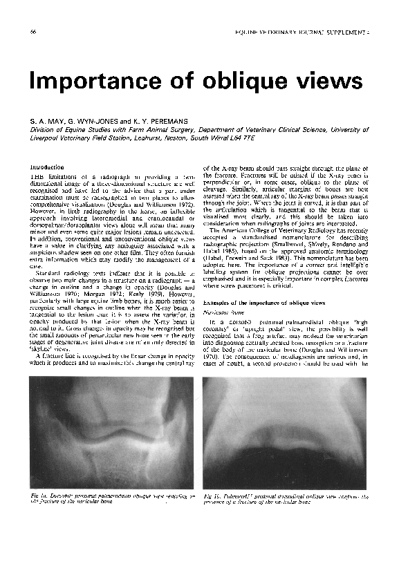 (PDF) Importance of oblique views