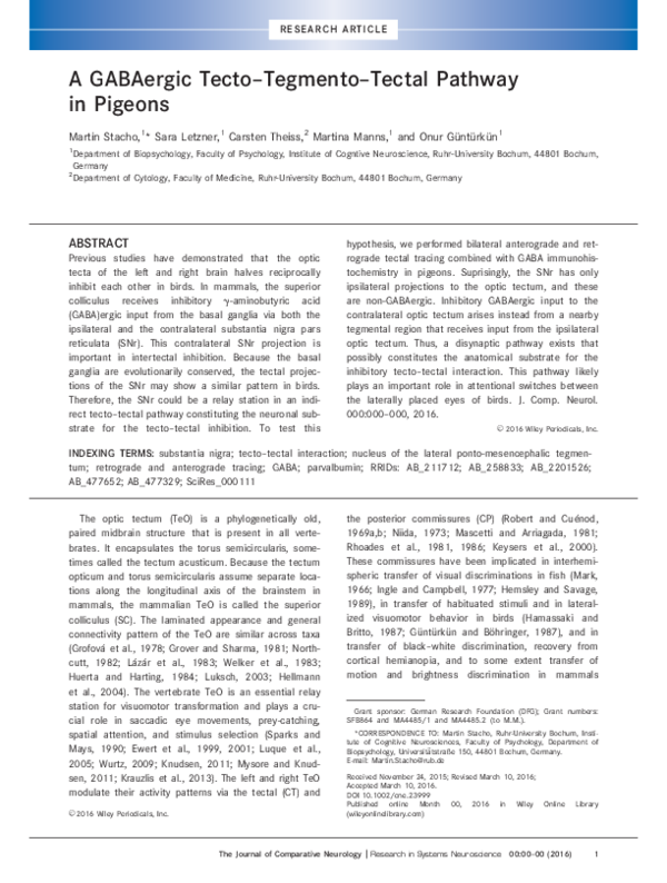 (PDF) A GABAergic tecto-tegmento-tectal pathway in pigeons.