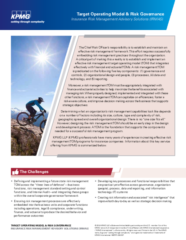 (PDF) Target Operating Model & Risk Governance Insurance Risk ...