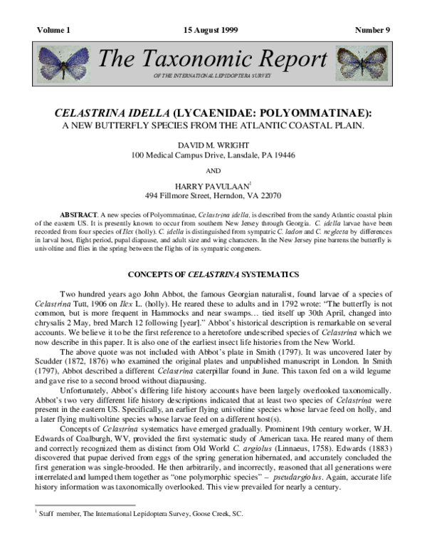(PDF) CELASTRINA IDELLA (LYCAENIDAE: POLYOMMATINAE): A NEW BUTTERFLY ...