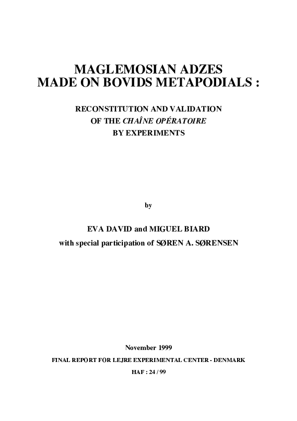 (PDF) MAGLEMOSIAN ADZES MADE ON BOVIDS METAPODIALS : Reconstitution and ...