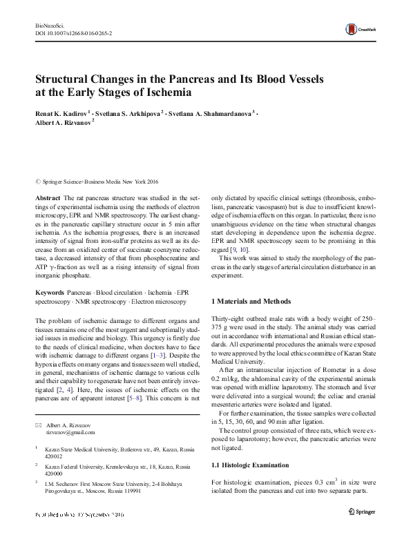 (PDF) Structural Changes in the Pancreas and Its Blood Vessels at the ...