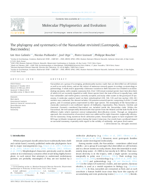 (PDF) The phylogeny and systematics of the Nassariidae revisited ...