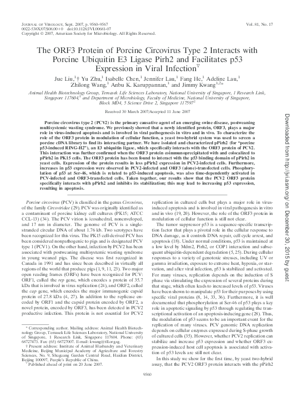 (PDF) The ORF3 Protein of Porcine Circovirus Type 2 Interacts with ...