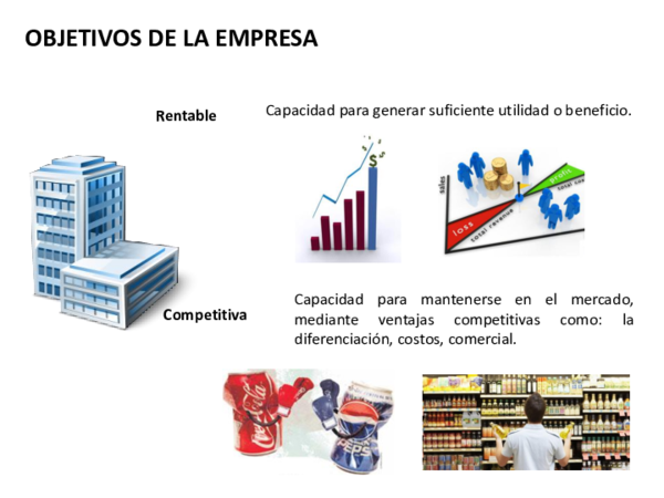(PDF) OBJETIVOS DE LA EMPRESA