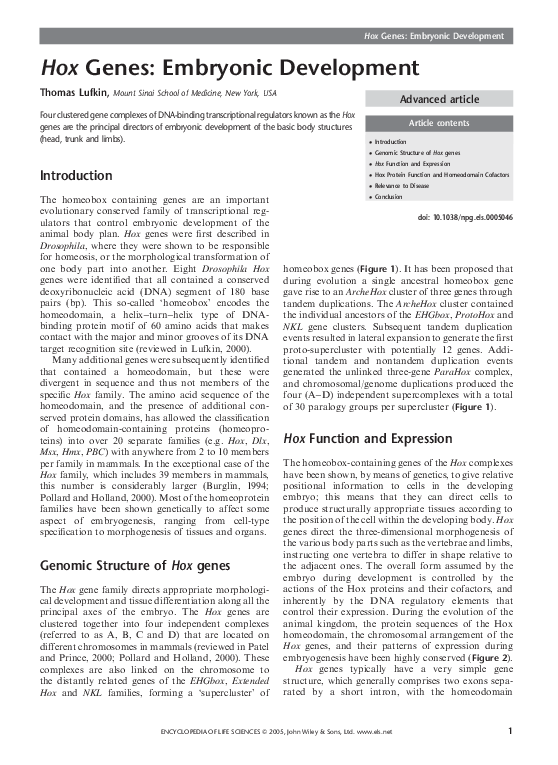 (PDF) Hox Genes: Embryonic Development