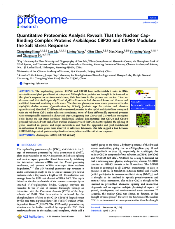 (PDF) Quantitative Proteomics Analysis Reveals That the Nuclear Cap-Binding Complex Proteins ...