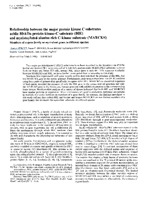 (PDF) Relationship between the major protein kinase C substrates acidic ...