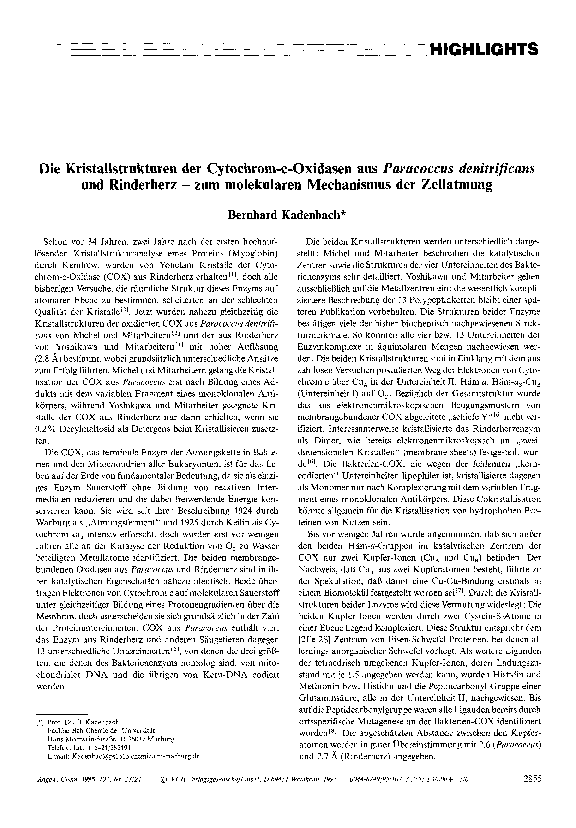 (PDF) Die Kristallstrukturen der Cytochrom-c-Oxidasen ausParacoccus ...