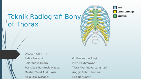 (PPT) TR STERNUM DAN COSTAE1