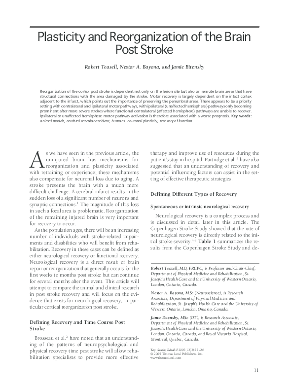 (PDF) Plasticity and Reorganization of the Brain Post Stroke