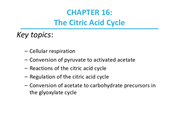 (PDF) CHAPTER 16: The Citric Acid Cycle