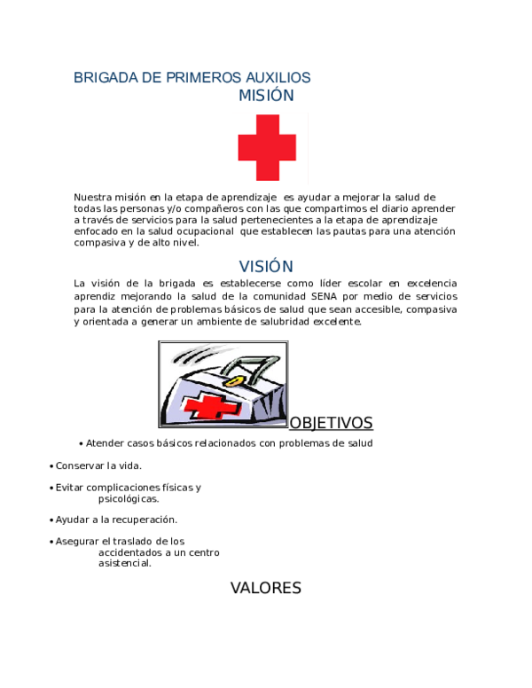 (DOC) BRIGADA DE PRIMEROS AUXILIOS