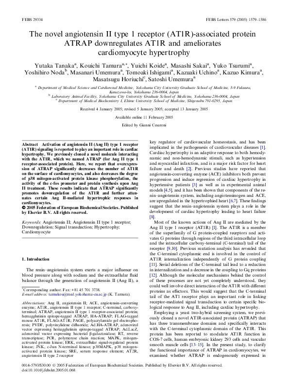 (PDF) The novel angiotensin II type 1 receptor (AT1R)-associated ...