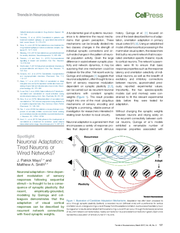 (PDF) Neuronal Adaptation: Tired Neurons or Wired Networks? | J ...