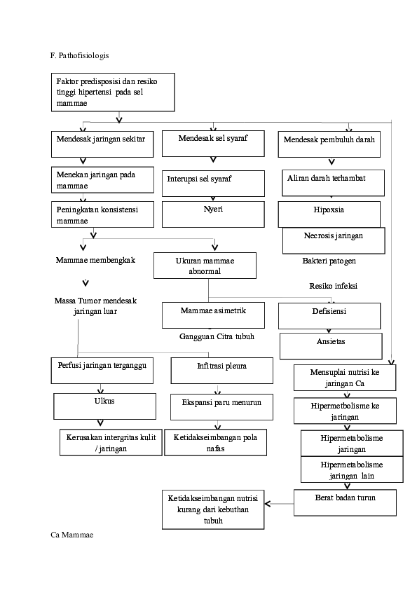 (DOC) Pathways pathofisologis