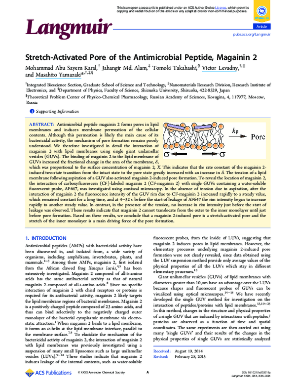 (PDF) Stretch-Activated Pore Formation by Magainin 2