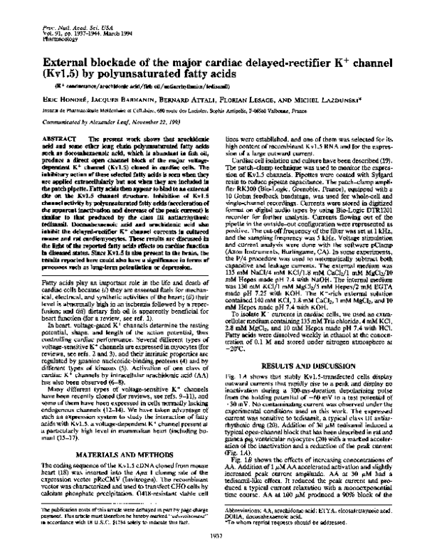 (PDF) External blockade of the major cardiac delayed-rectifier K+ ...
