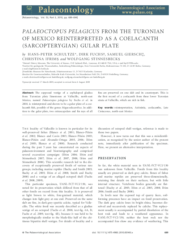 (PDF) Palaeoctopus pelagicus from the Turonian of Mexico reinterpreted ...