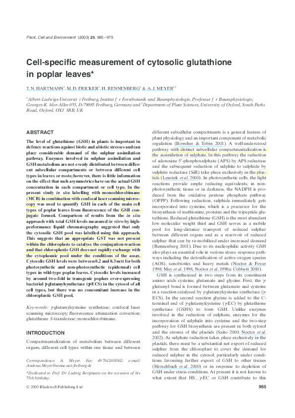 (PDF) Cell-specific measurement of cytosolic glutathione in poplar leaves*