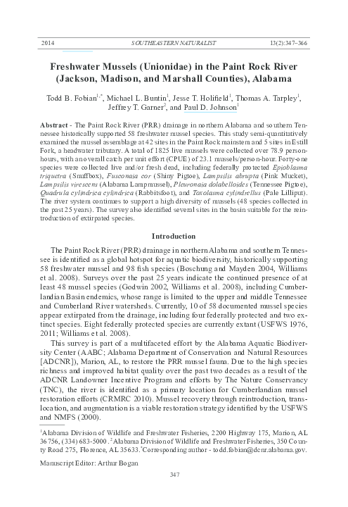 (PDF) Freshwater Mussels (Unionidae) in the Paint Rock River (Jackson ...