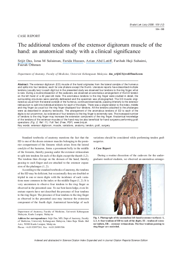 (PDF) Extra Tendons in Extensor Digitorum of Hand