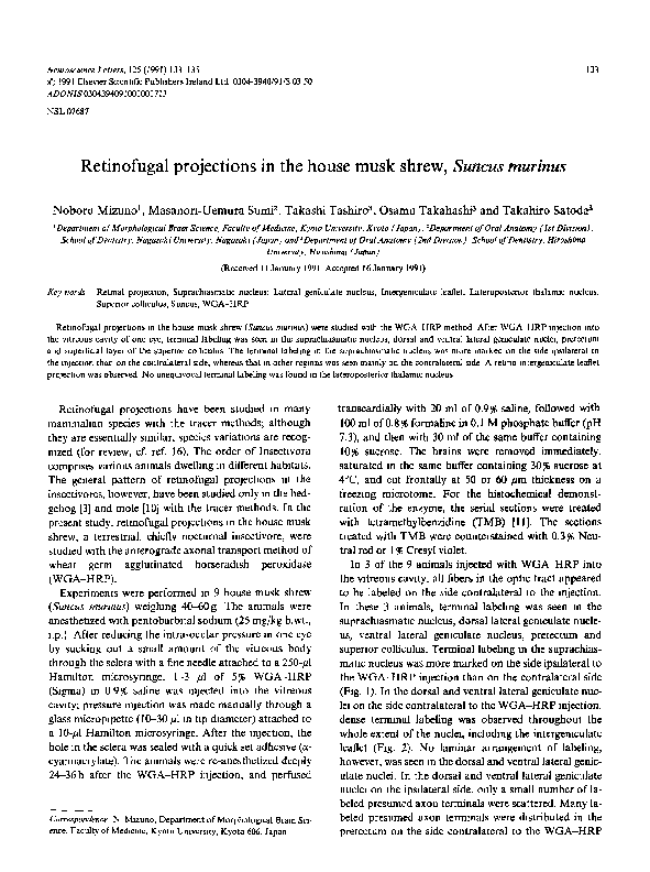 (PDF) Retinofugal projections in the house musk shrew, Suncus murinus