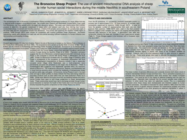(PDF) The Bronocice Sheep Project: The use of ancient mitochondrial DNA ...