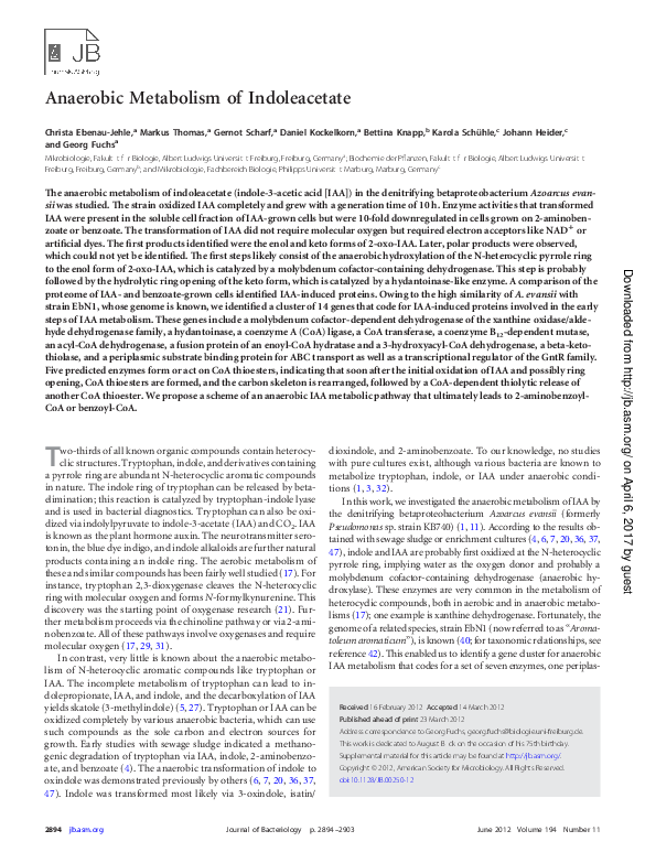 (PDF) Anaerobic Metabolism of Indoleacetate