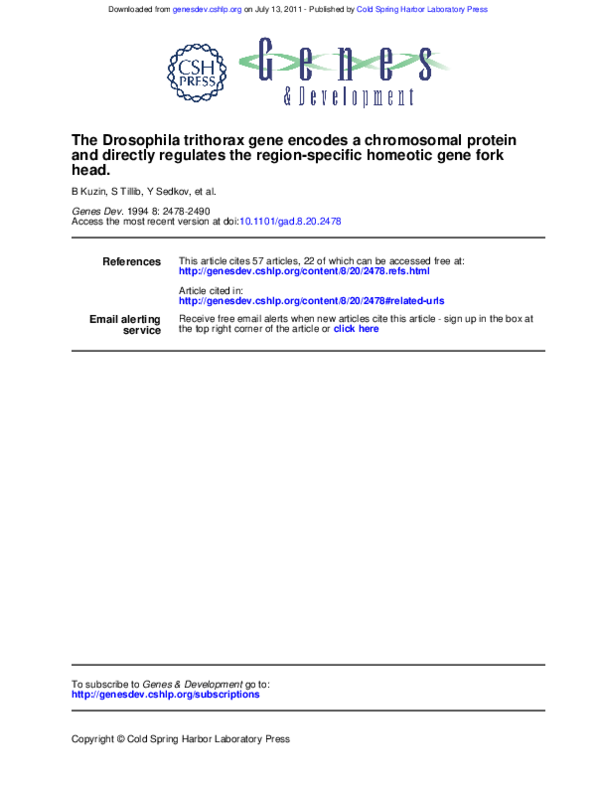 (PDF) The Drosophila trithorax gene encodes a chromosomal protein and ...