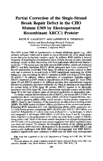 (PDF) Partial Correction of the Single-Strand Break Repair Defect in ...