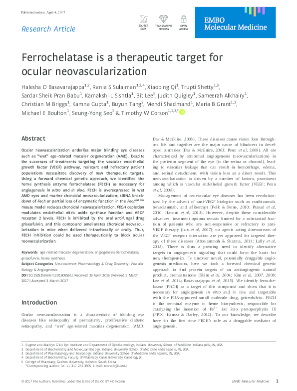 (PDF) Ferrochelatase is a therapeutic target for ocular neovascularization