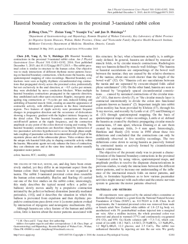 (PDF) Haustral Boundary Contractions in the rabbit colon