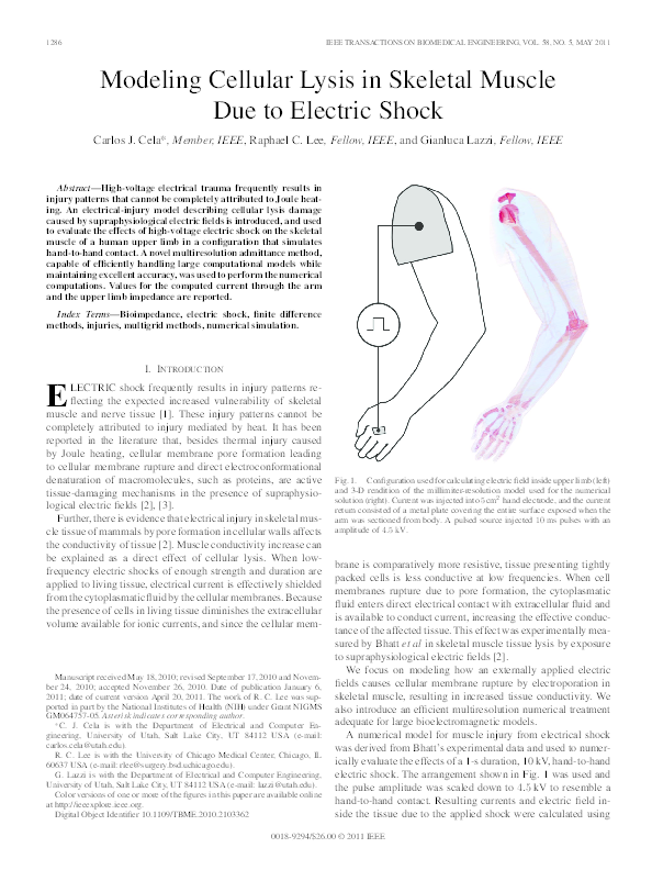 (PDF) Modeling Cellular Lysis in Skeletal Muscle Due to Electric Shock