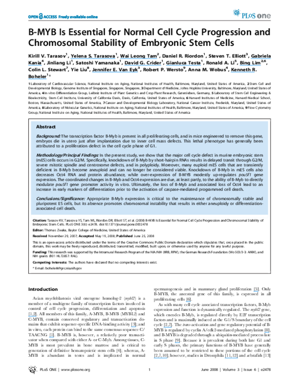 (PDF) B-MYB Is Essential for Normal Cell Cycle Progression and ...